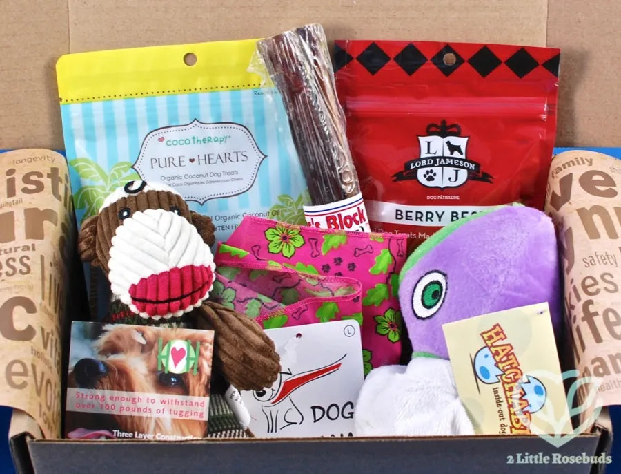 Pet Boxes – ButikMarket Europe